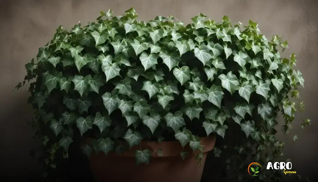 Planta Hera: Manejos Eficazes para uma Cultivo Sustentável