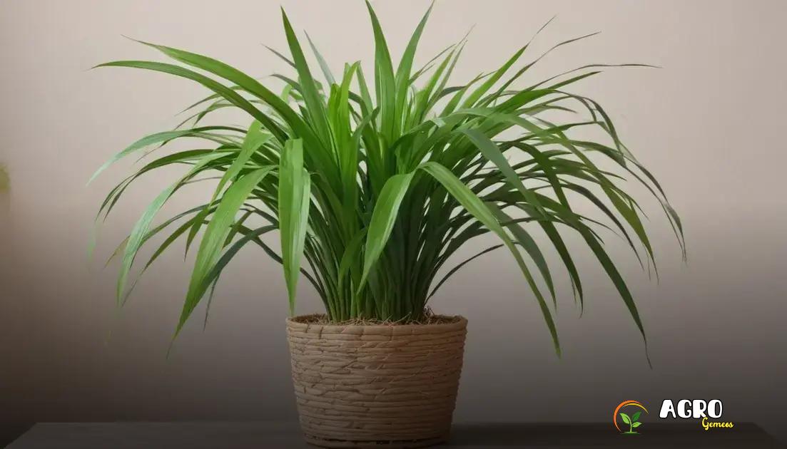 Planta Ráfia na Agroecologia: Benefícios Ambientais e Econômicos